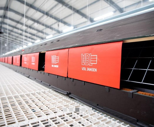 Buy Poultry Nests & Slats — Dalton Supplies