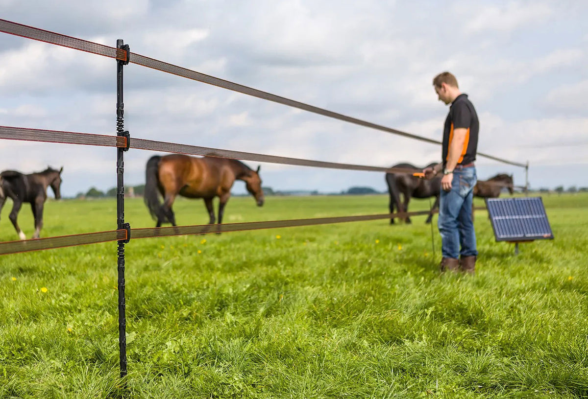 Electric Fencing UK | Farm Fencing Systems & Energisers | Dalton Supplies